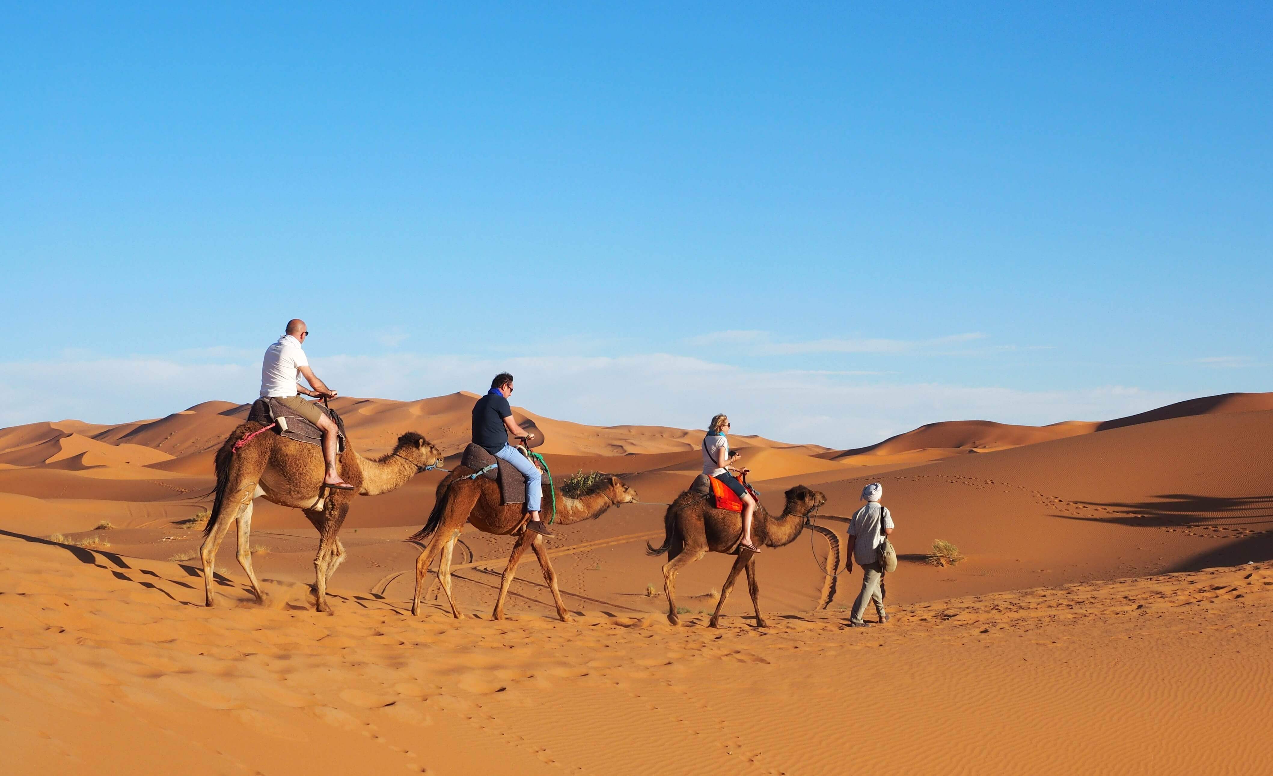Excursions de Marrakech : Essaouira, Deserts, Cascades
